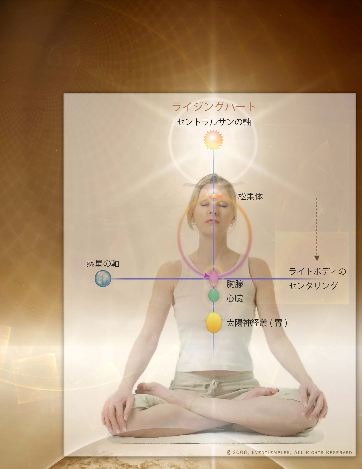 The Rising Heart – WingMakers StudyGroup Japan